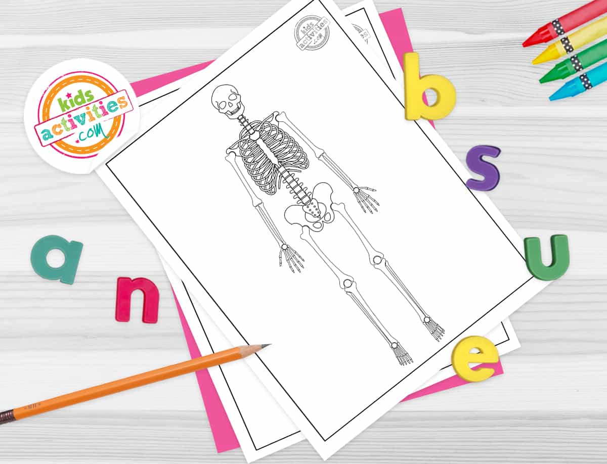 29 Scarily Easy Skeleton Crafts for Kids
