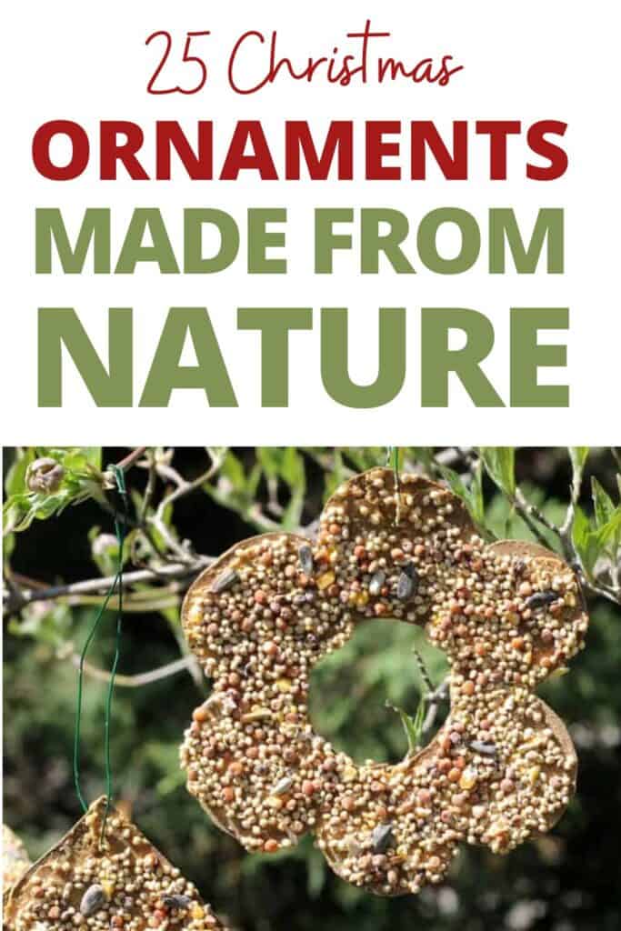 25 Easy Christmas ornaments made from nature or nature-inspired ...